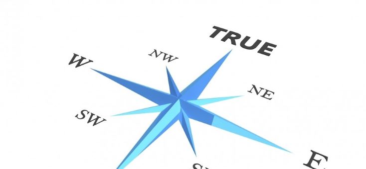 Clear Direction | Kristi's Morning Devotional