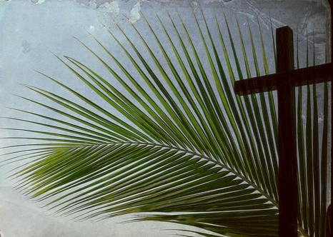 Palm Branches Waving | Kristi's Morning Devotional