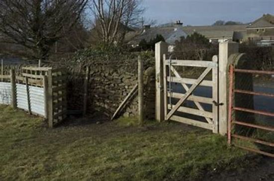 Going Through The Gate | Kristi's Morning Devotional