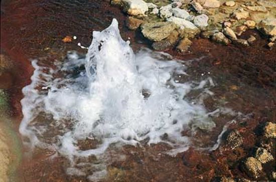 Bubbling Over | Kristi's Morning Devotional