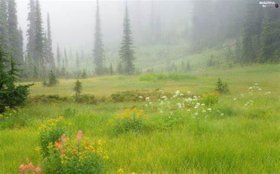 It’s Beginning to Rain | Kristi's Morning Devotional