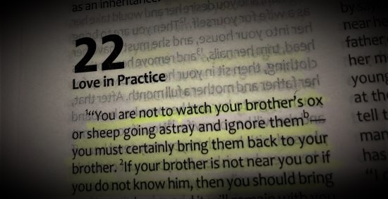 Love in Practice | Kristi's Morning Devotional