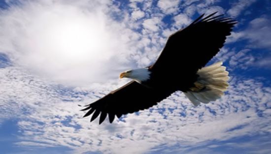 Soaring | Kristi's Morning Devotional