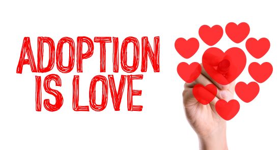 Adoption Complete | Kristi's Morning Devotional