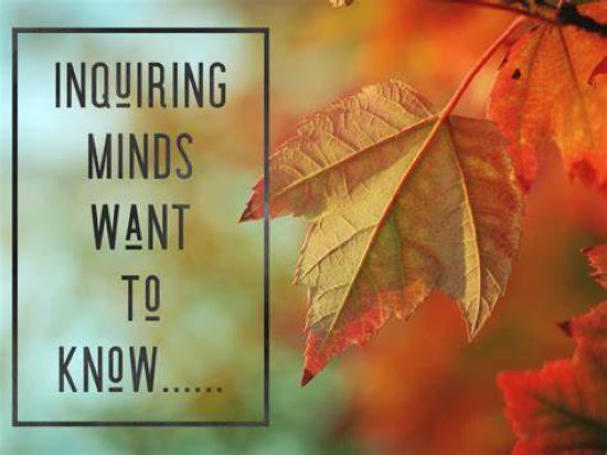 Inquiring Minds | Kristi's Morning Devotional