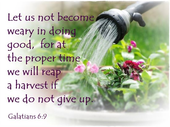 Doing Good | Kristi's Morning Devotional