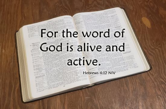 Let God’s Word Speak | Kristi's Morning Devotional
