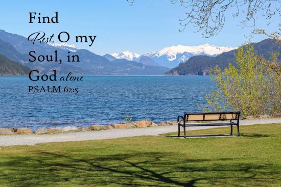 Calmly Wait | Kristi's Morning Devotional