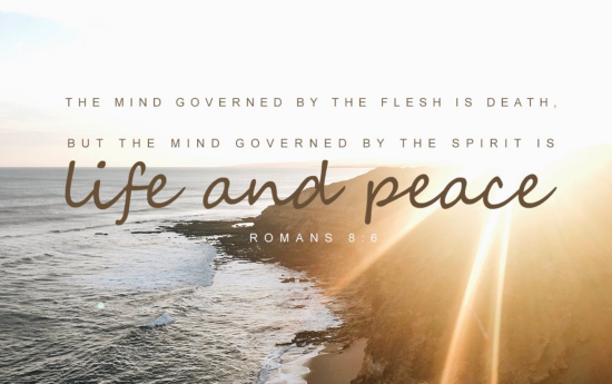 Life & Peace | Kristi's Morning Devotional
