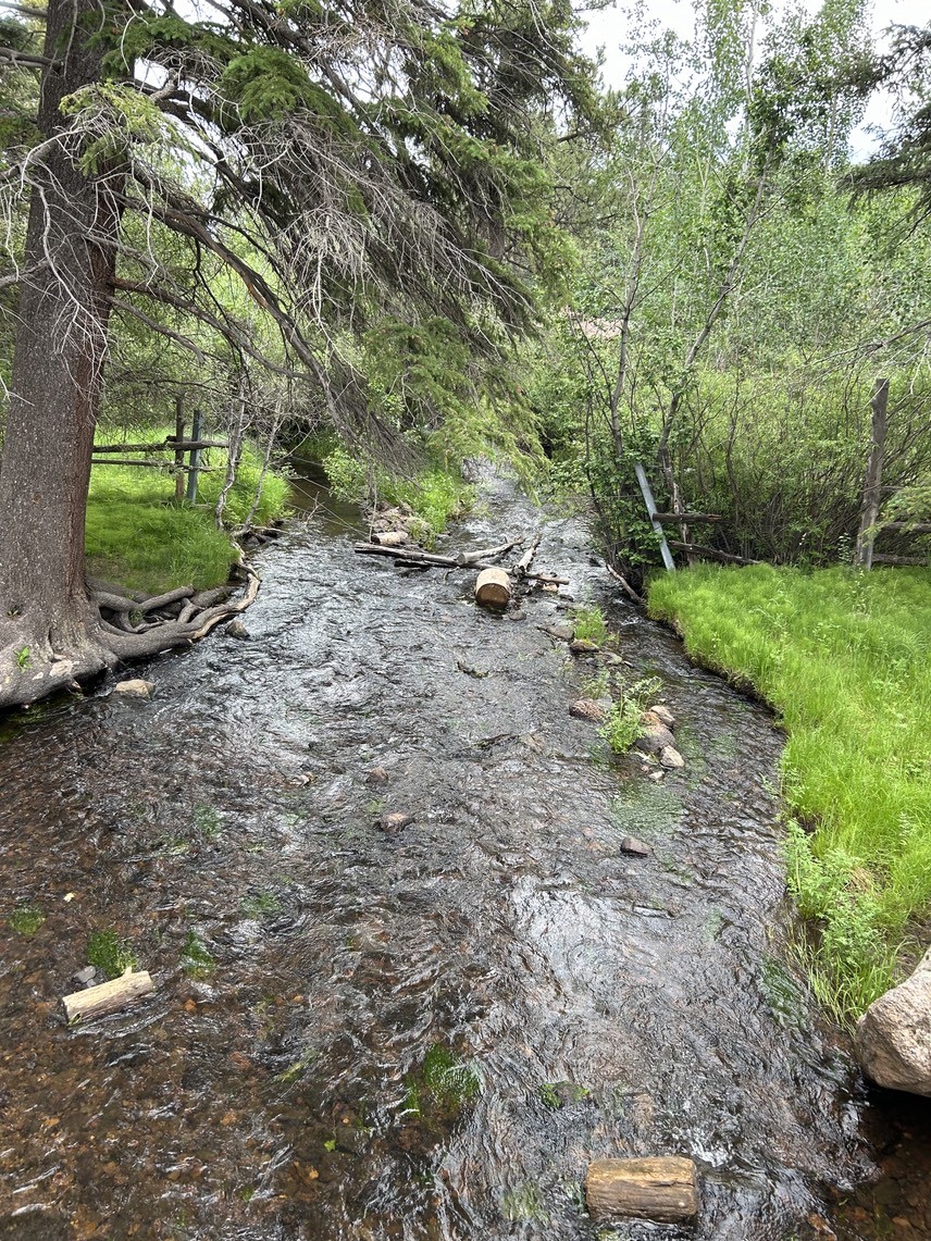 Beside the Quiet Stream | Kristi's Morning Devotional